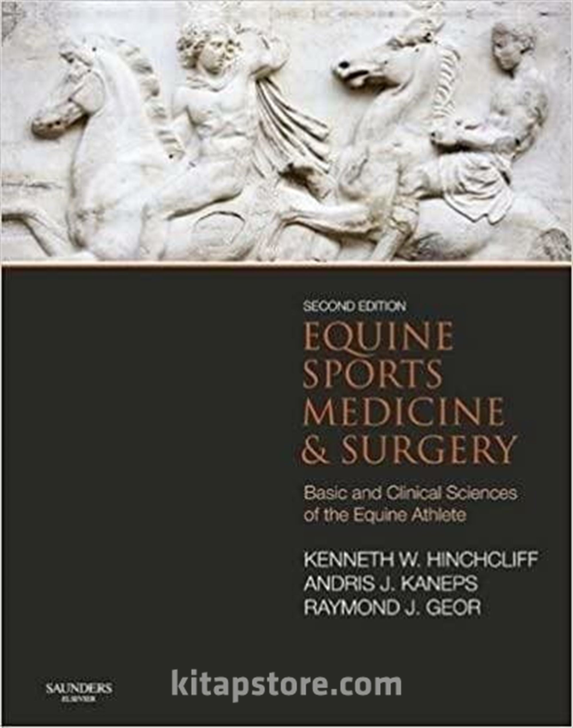 Equine Sports Medicine and Surgery - Kenneth W Hinchcliff BVSc MS PhD ...